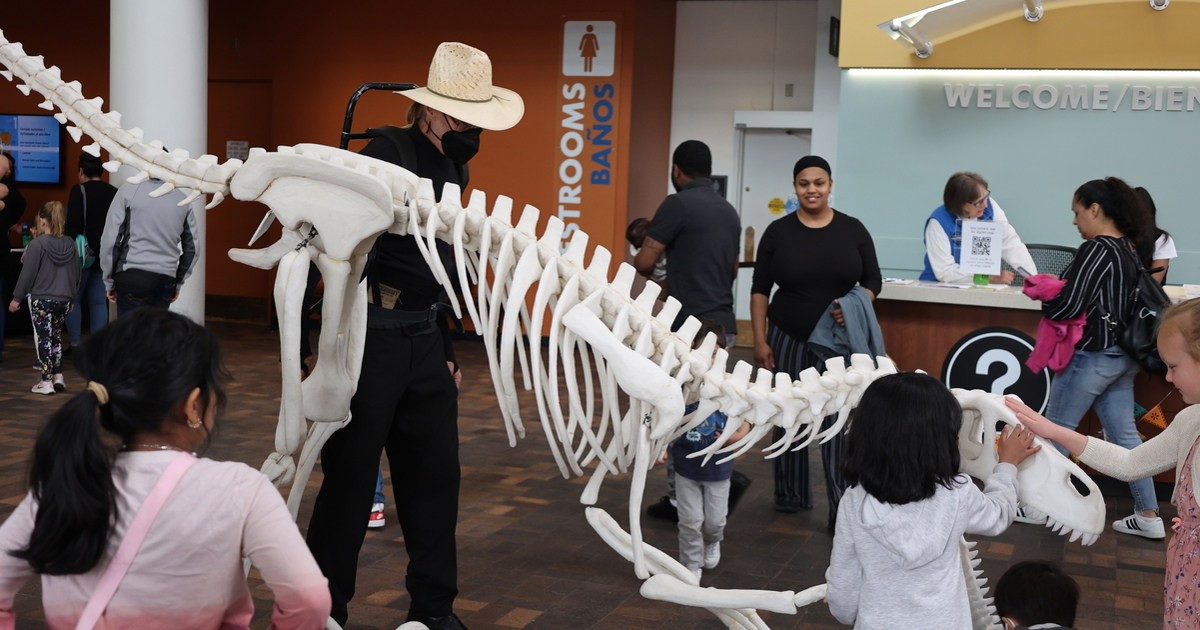 Denver Museum of Nature and Science