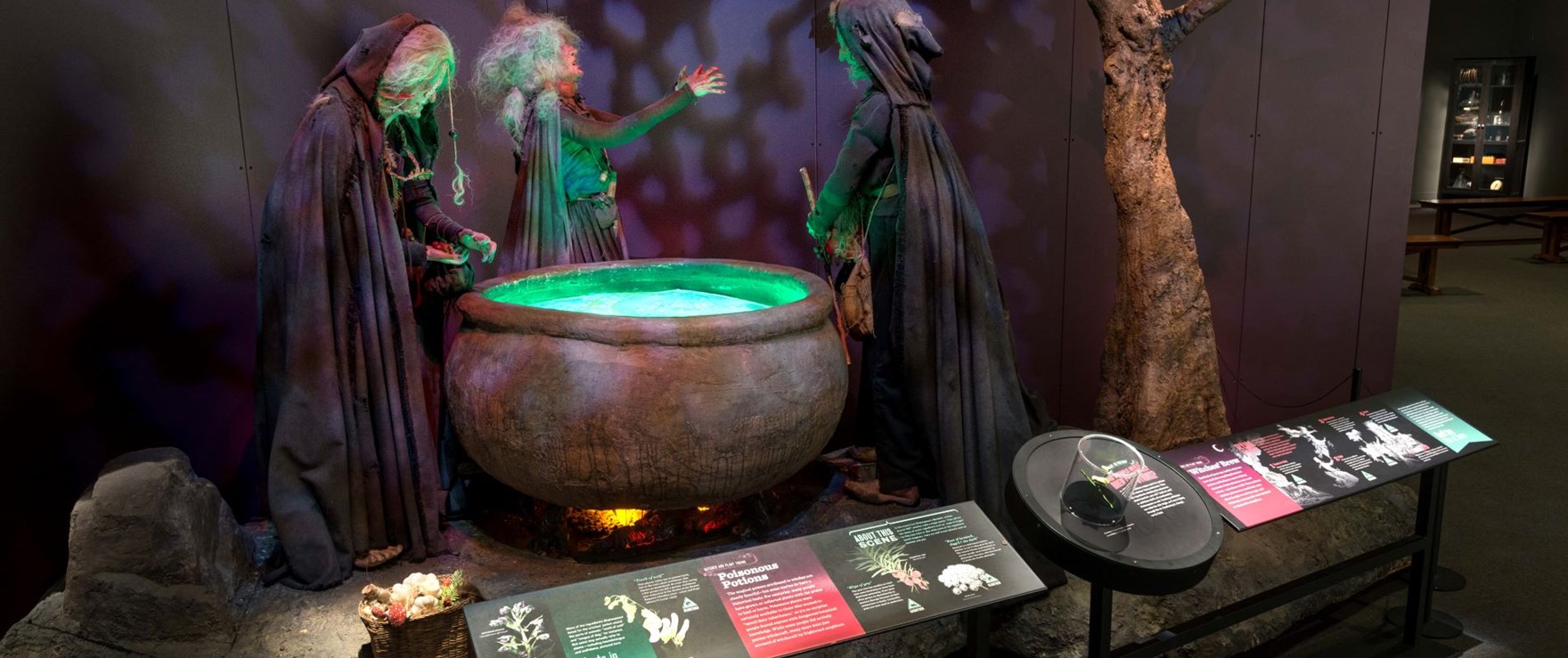 Denver Museum of Nature and Science