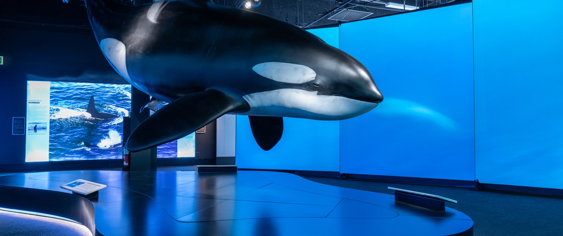 Denver Museum of Nature and Science