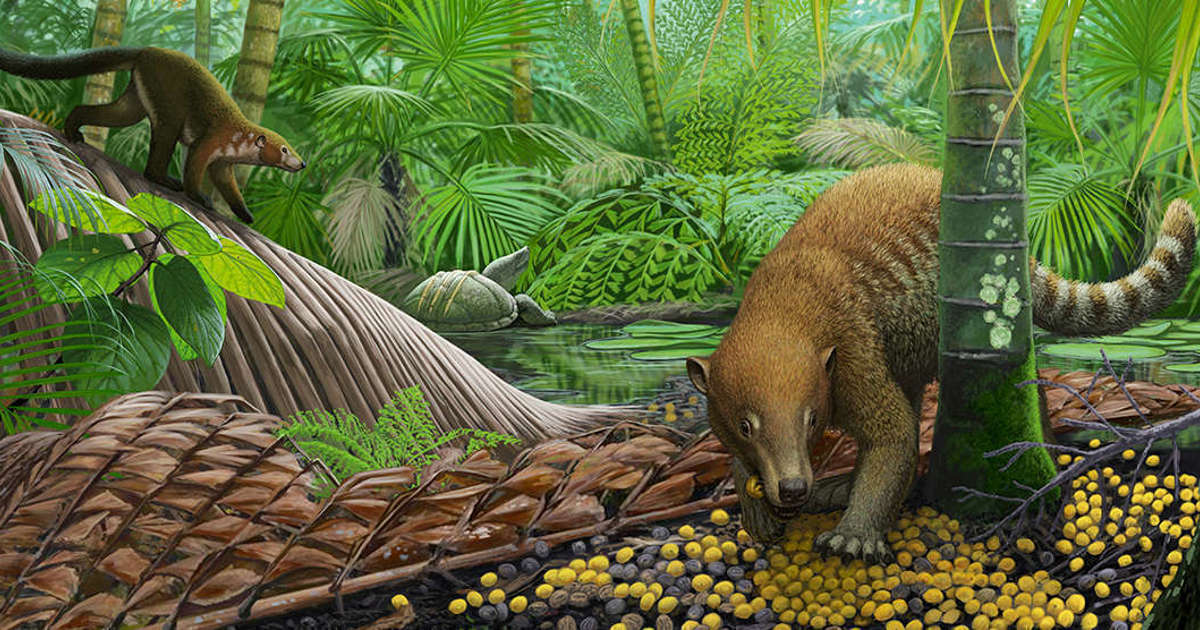 Denver Museum of Nature and Science