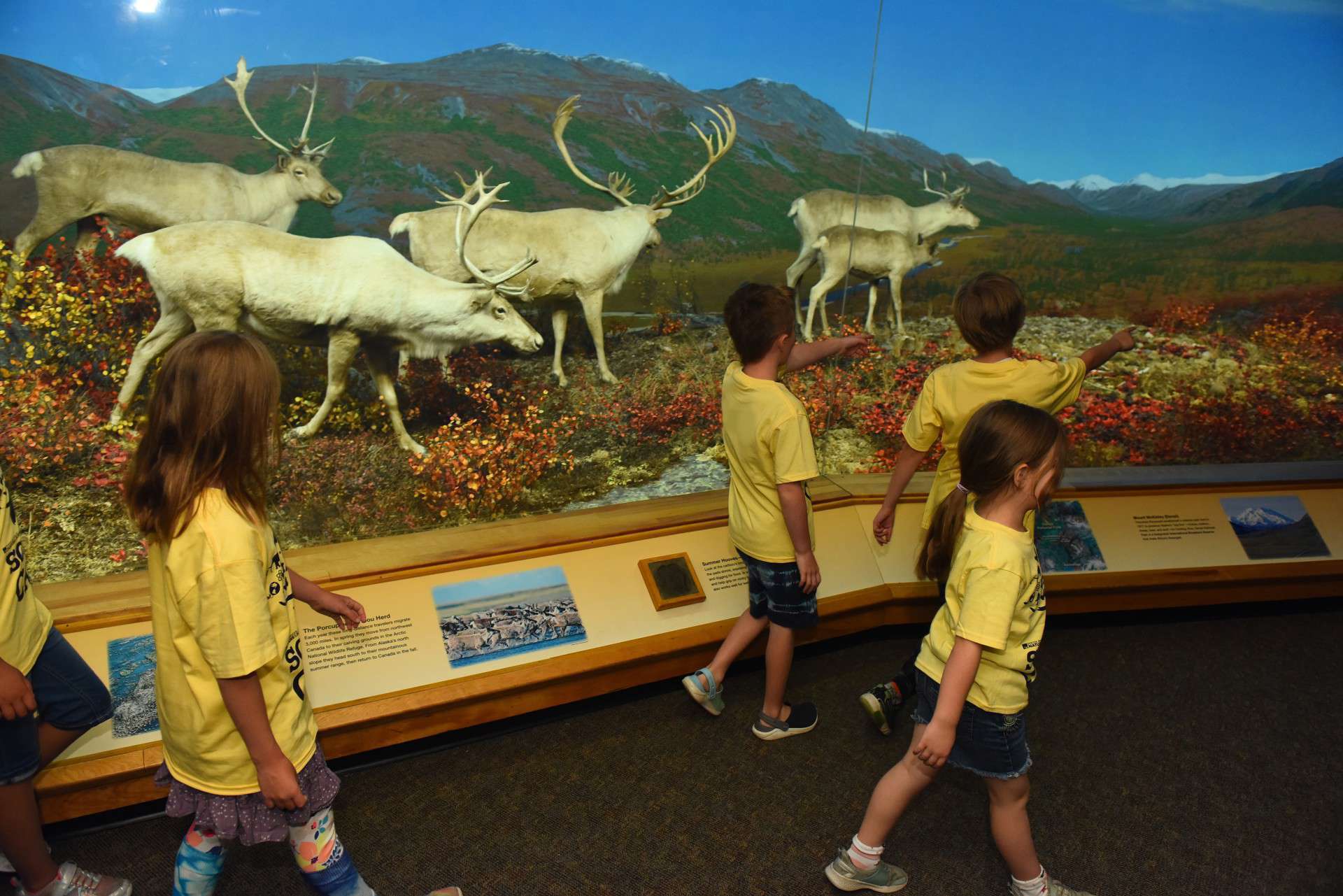 Denver Museum of Nature and Science