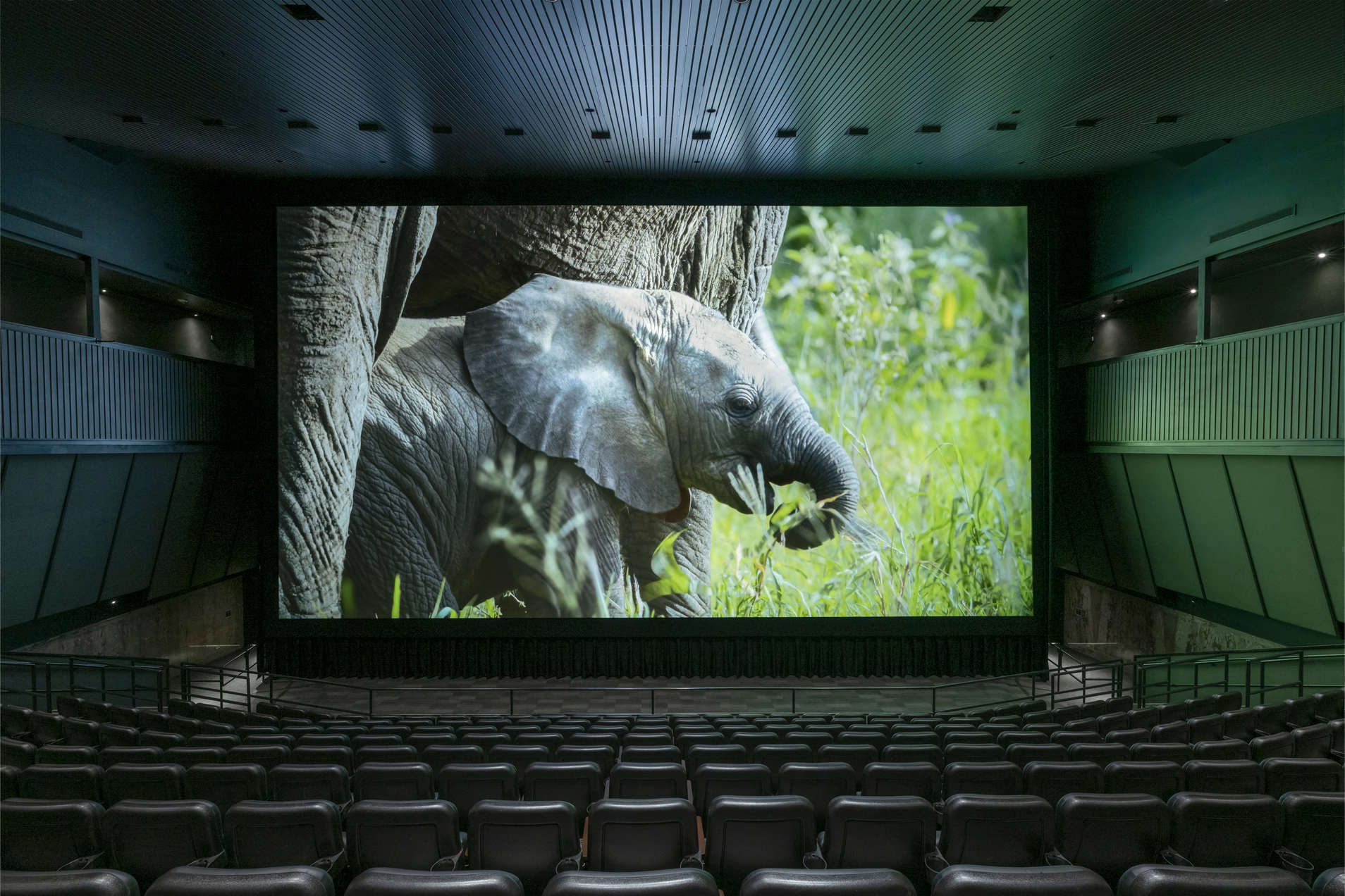 Denver Museum of Nature and Science
