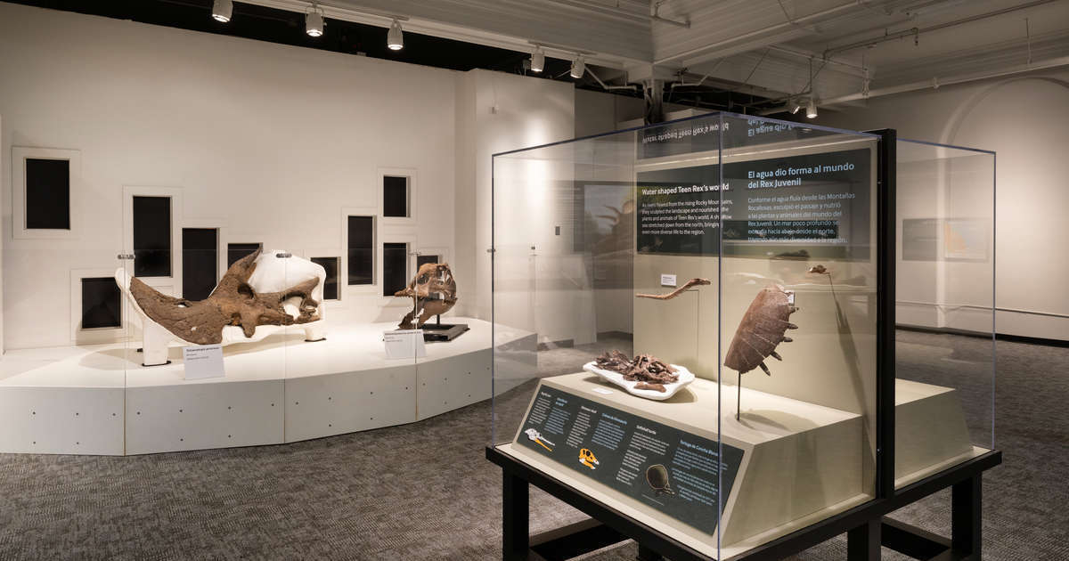 Denver Museum of Nature and Science